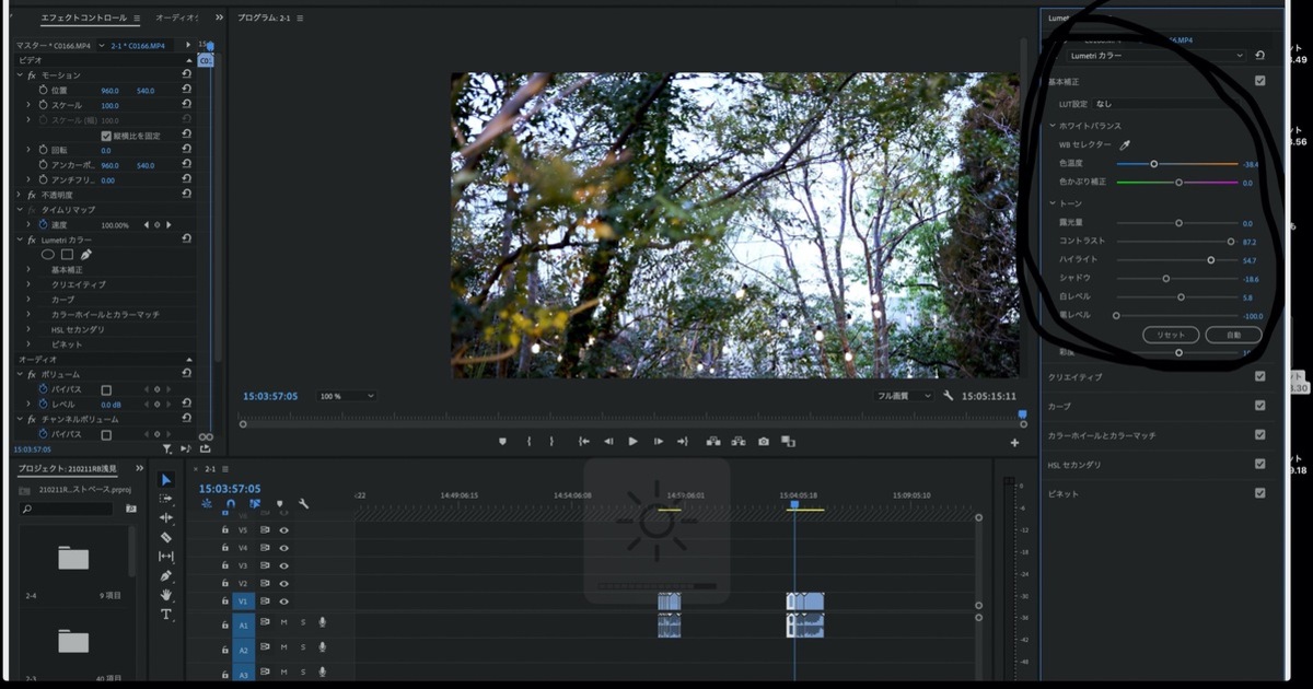 Lumetriカラーのコピー方法【Premiere Pro / プレミアプロ チュートリアル】 | Vook(ヴック)