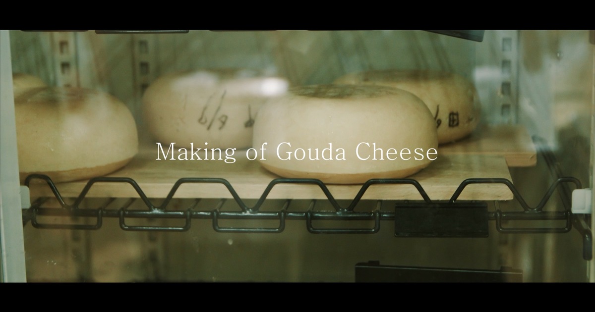 Making of Gouda Cheese | Vook(ヴック)