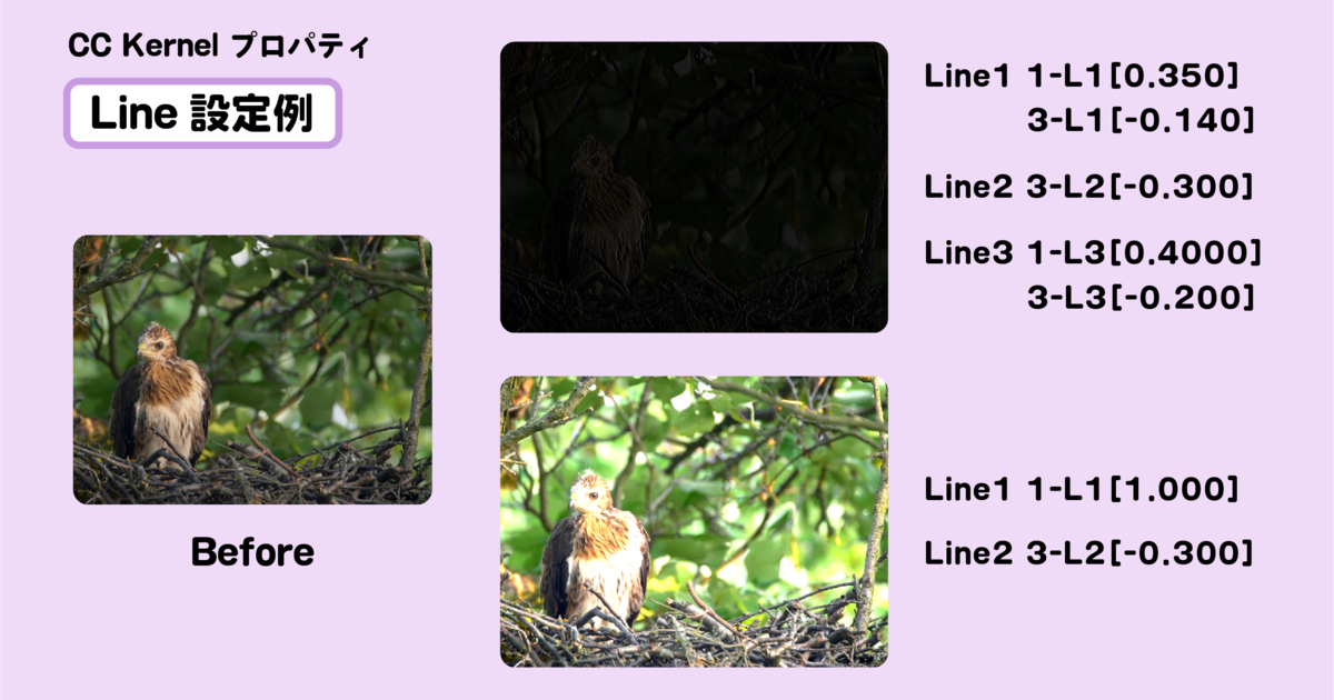 CC Kemelとは - カラー補正 | Vook(ヴック)