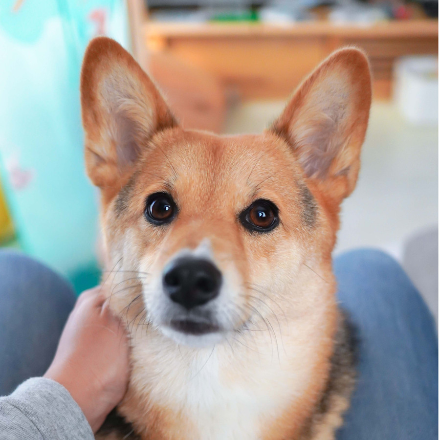 Momizyさんの記事一覧 | 動画編集・映像制作Tipsサイト | Vook(ヴック)