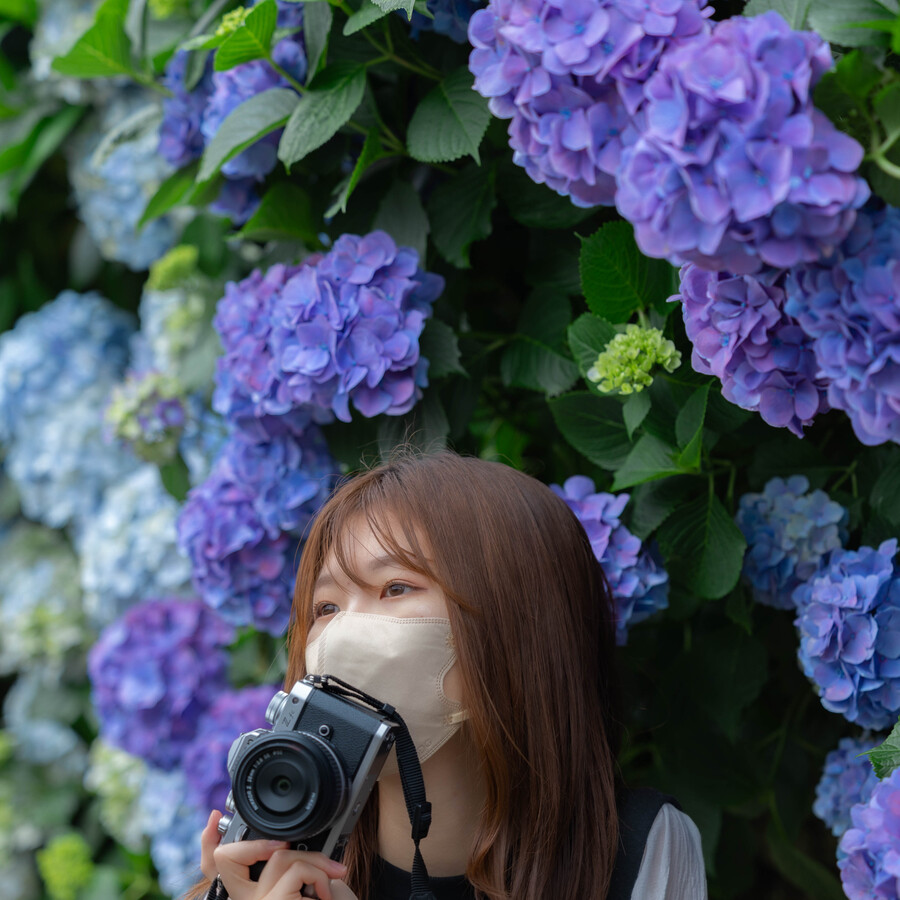 ちーすたじお.さんの記事一覧 | 動画編集・映像制作Tipsサイト | Vook(ヴック)