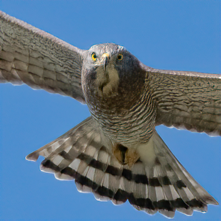 BirdAgentさんの記事一覧 | 動画編集・映像制作Tipsサイト | Vook(ヴック)