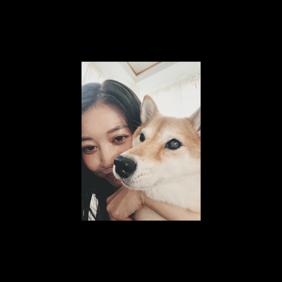 Ayaka Shidaさんの記事一覧 | 動画編集・映像制作Tipsサイト | Vook(ヴック)