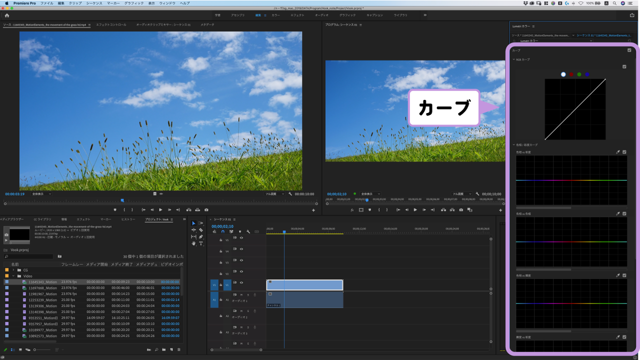 Lumetriカラーとは - Premiere Pro 用語集 | Vook(ヴック)