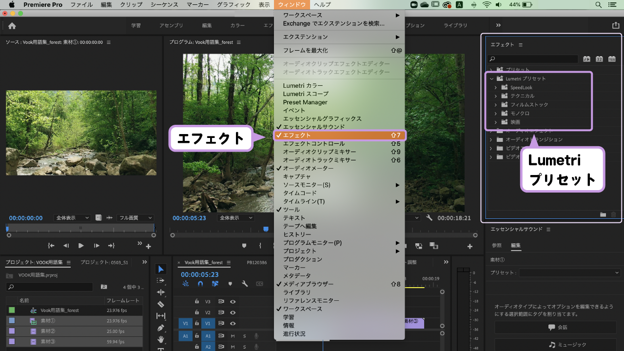Lumetriプリセットとは - Premiere Pro 用語集 | Vook(ヴック)