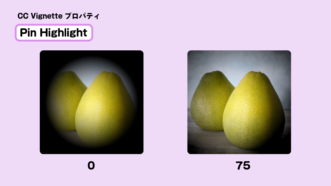 CC Vignetteとは - スタイライズ | Vook(ヴック)