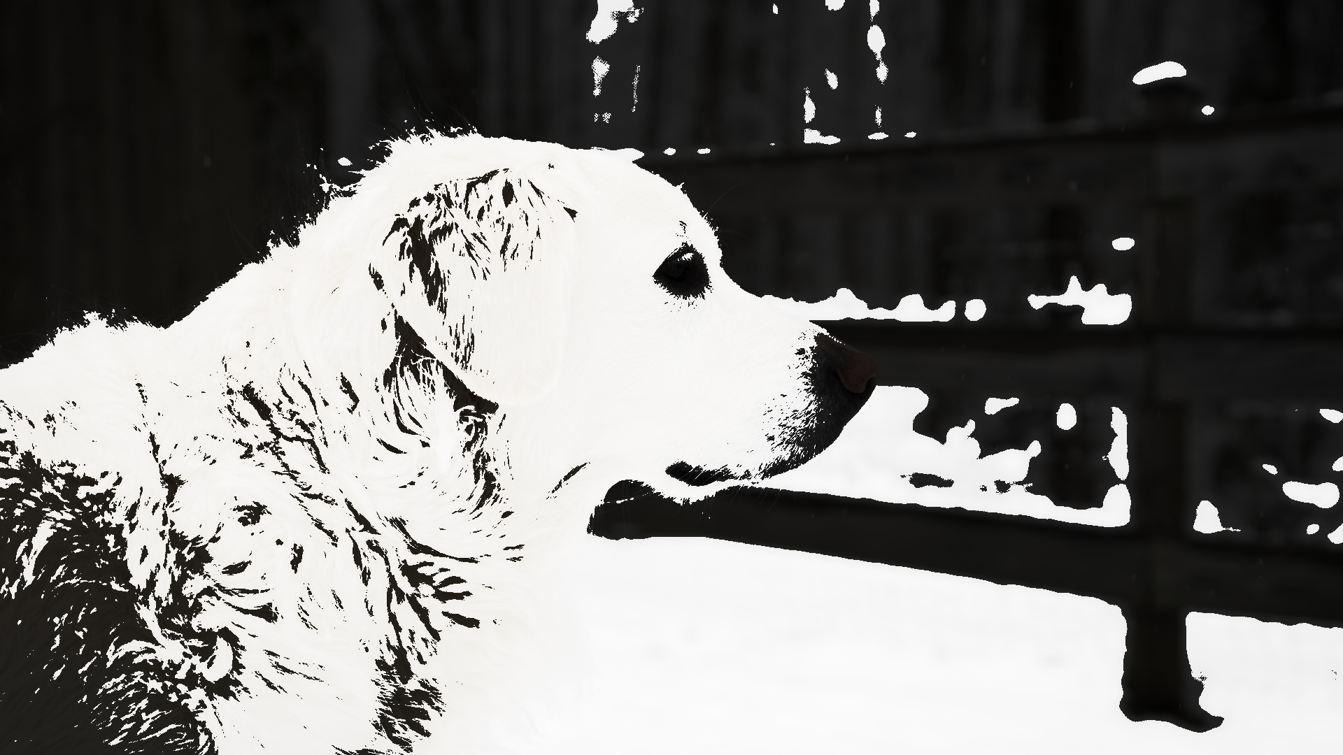 CC Thresholdとは - スタイライズ | Vook(ヴック)