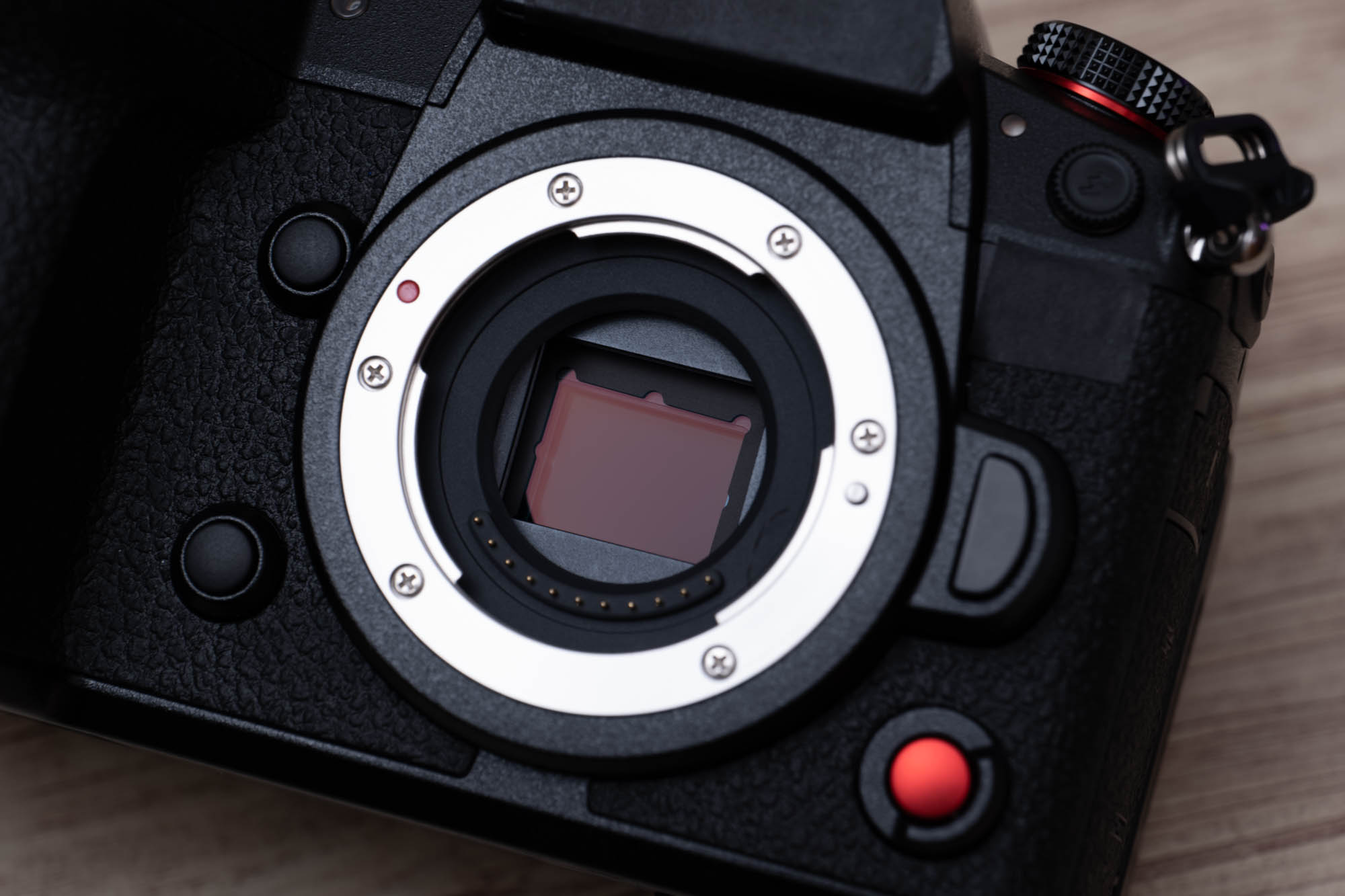 限界突破したGH6の描写力に迫る LUMIX GH6 レビュー | Vook(ヴック)