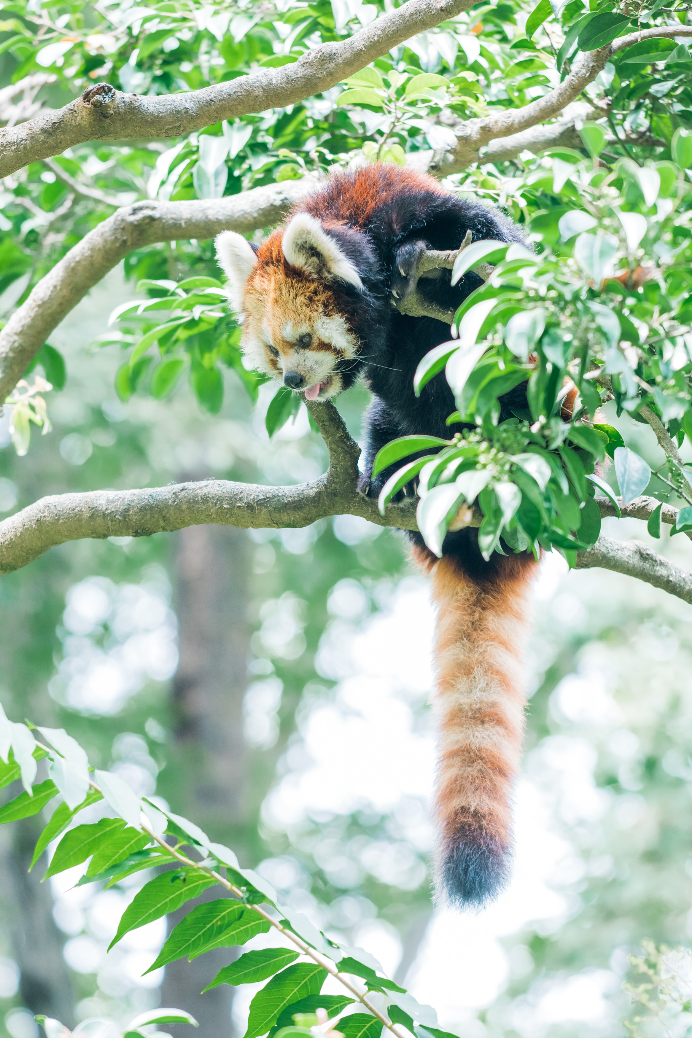 【Nikon Z30】写真メインでZ30を使ってみた！ | Vook(ヴック)